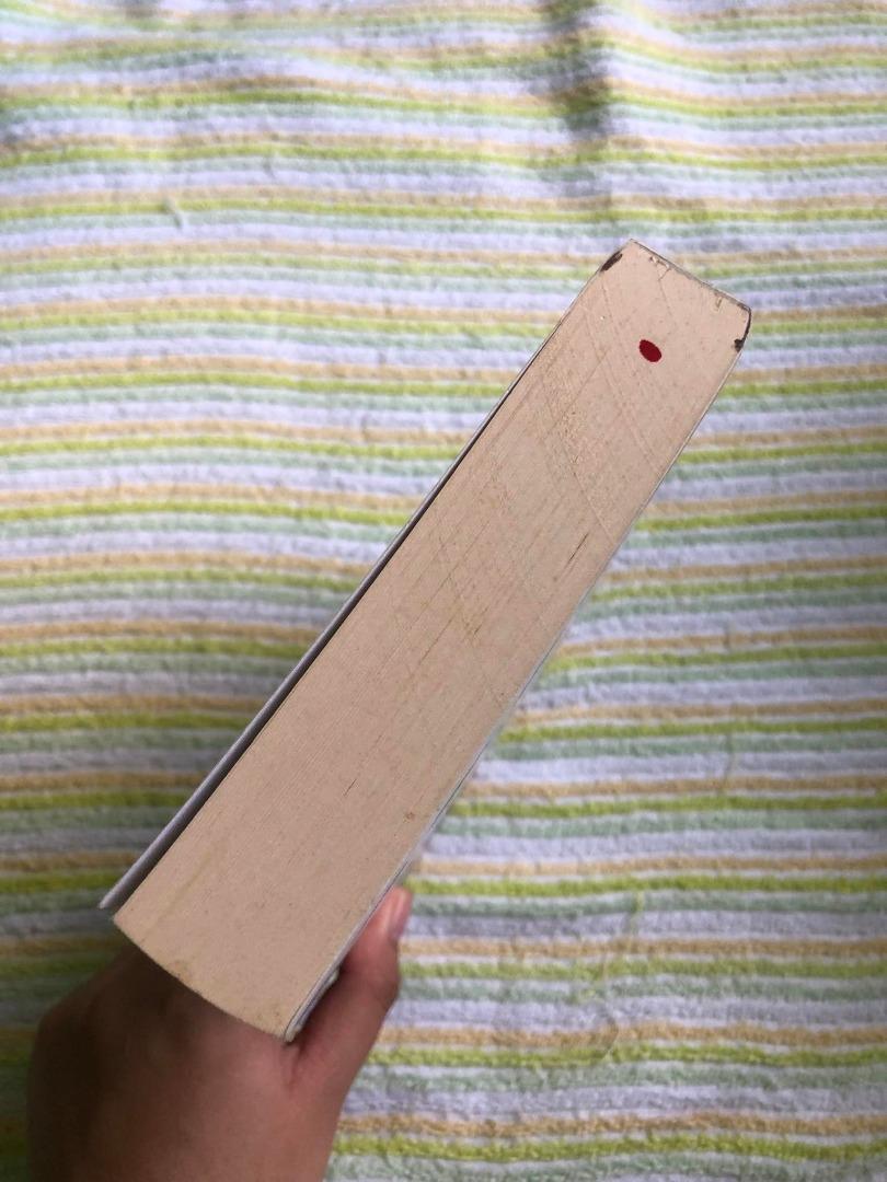 Train Man by Hitori Nakano, Hobbies & Toys, Books & Magazines, Fiction ...