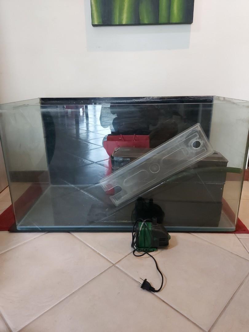 4 feet tank with 4 tier OHF and pump, Everything Else on Carousell