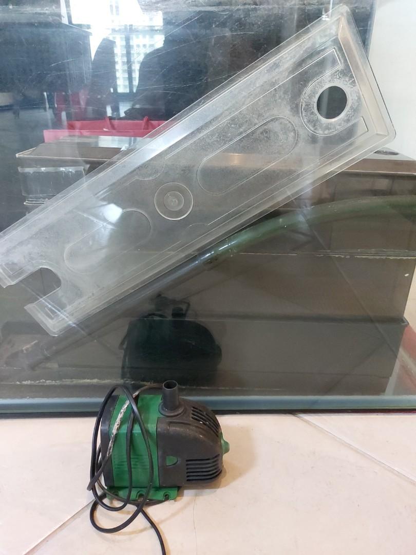 4 feet tank with 4 tier OHF and pump, Everything Else on Carousell