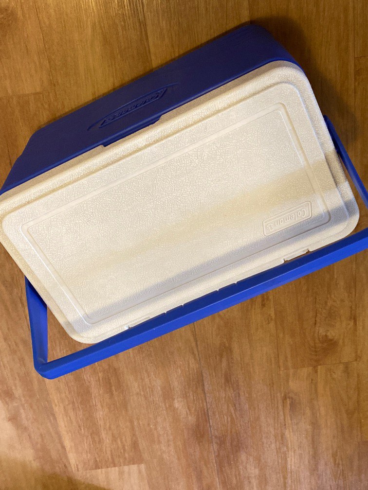 Coleman Cooler Storage Box, Furniture & Home Living, Home Improvement ...