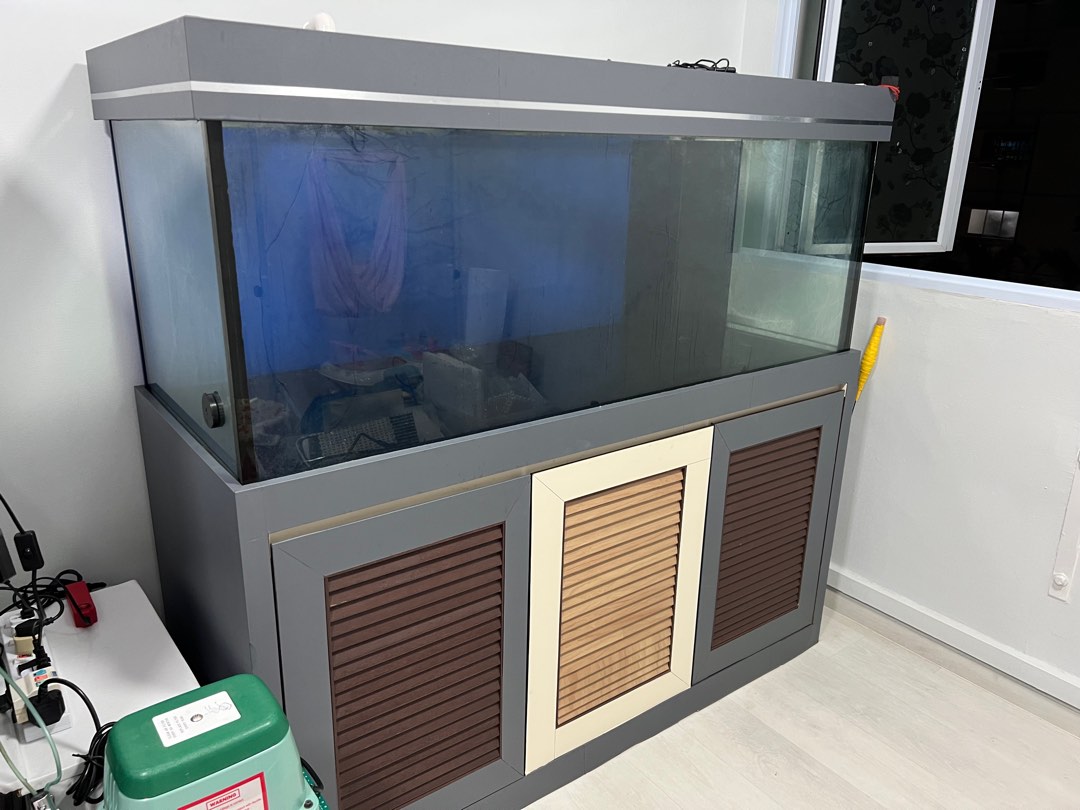 Fish Tank Set, Pet Supplies, Homes & Other Pet Accessories on Carousell