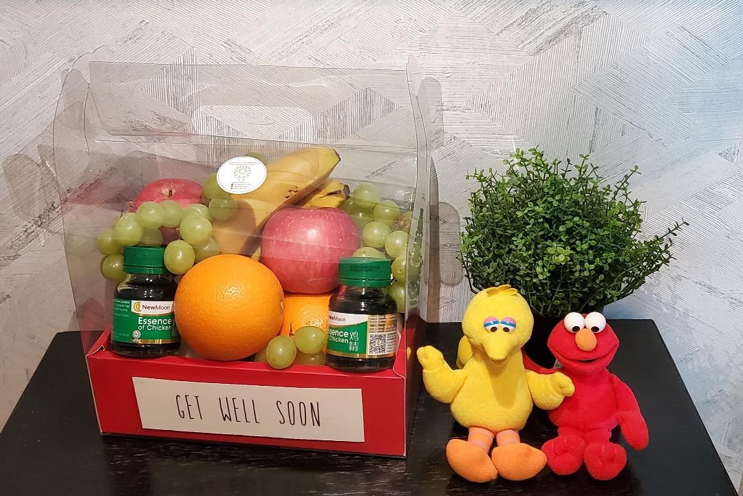 Premium Bird Nest / Chicken Essence + Fruits Hamper / Gift Set (Get ...