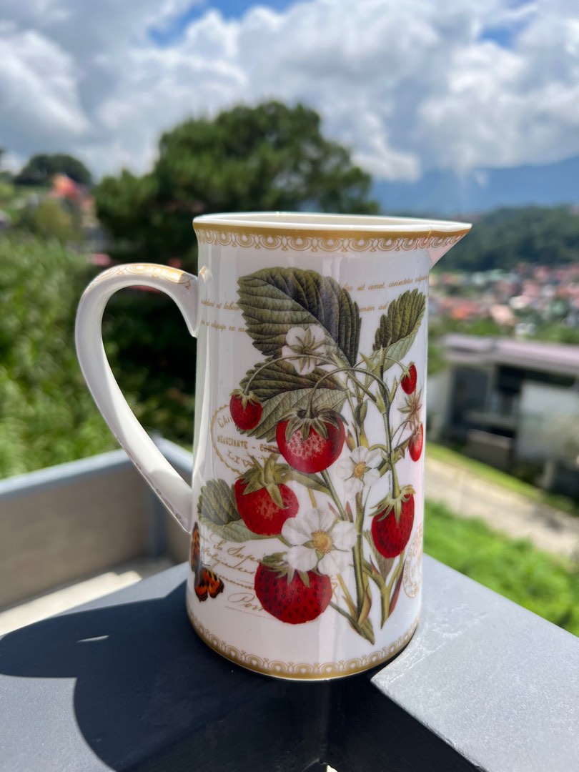 Leonardo Collection jug, Furniture & Home Living, Kitchenware ...