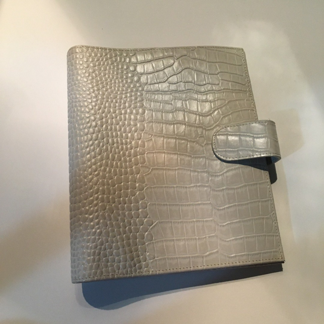 MOTERM A5 Luxe Leather Ring Planner in Cream Croc | ALBOEFS, Hobbies ...