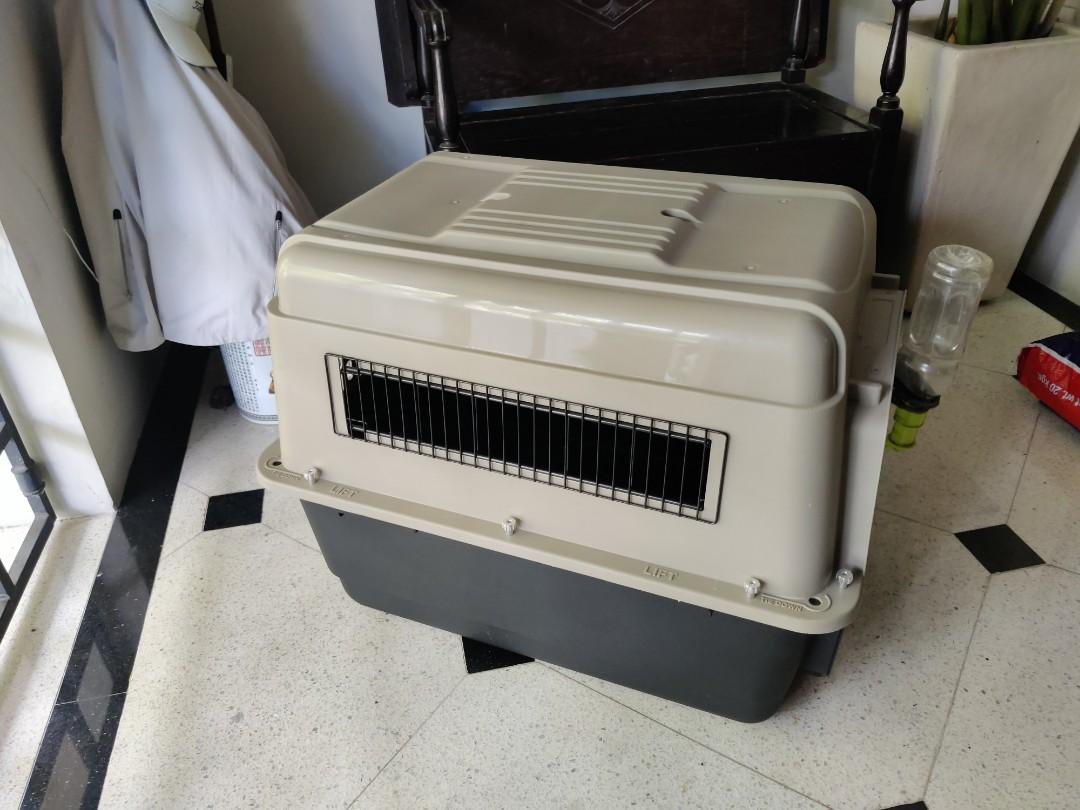 Dog Crate Vari Kennel XL, Pet Supplies, Homes & Other Pet Accessories ...