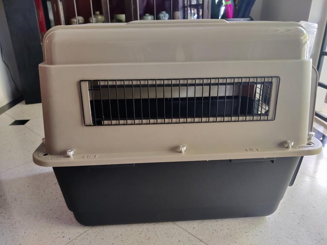 Dog Crate Vari Kennel XL, Pet Supplies, Homes & Other Pet Accessories ...