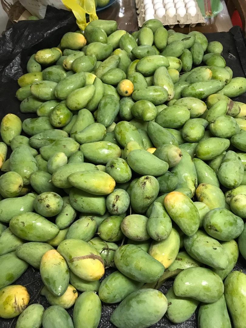 Farm For Sale Pigcawayan Area, Property, For Sale, Lot on Carousell