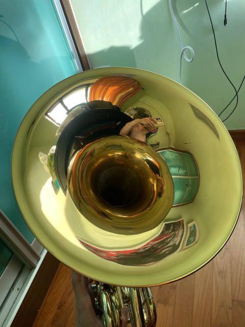 French Horn Paxxman Series 4 (Bb and F), Hobbies & Toys, Music & Media ...