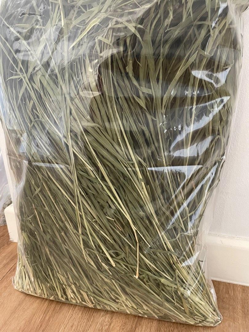 Fresh & green Rye hay, Pet Supplies, Pet Food on Carousell