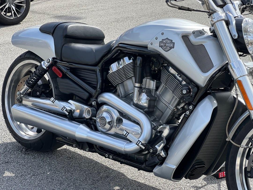 Harley Davidson vrod muscle, Motorbikes on Carousell