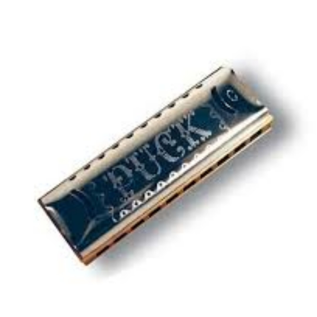 Hohner-Puck 10 Hole Harmonica (M55001) C keys, Hobbies & Toys, Music ...