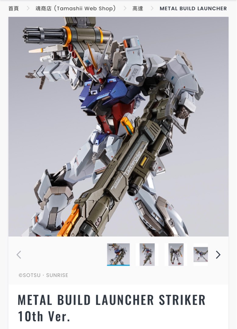 METAL BUILD FLIGHT UNIT OPTION SET （ALTERNATIVE STRIKE Ver.）& LAUNCHER STRIKER 10th Ver 背包 魂限 ...