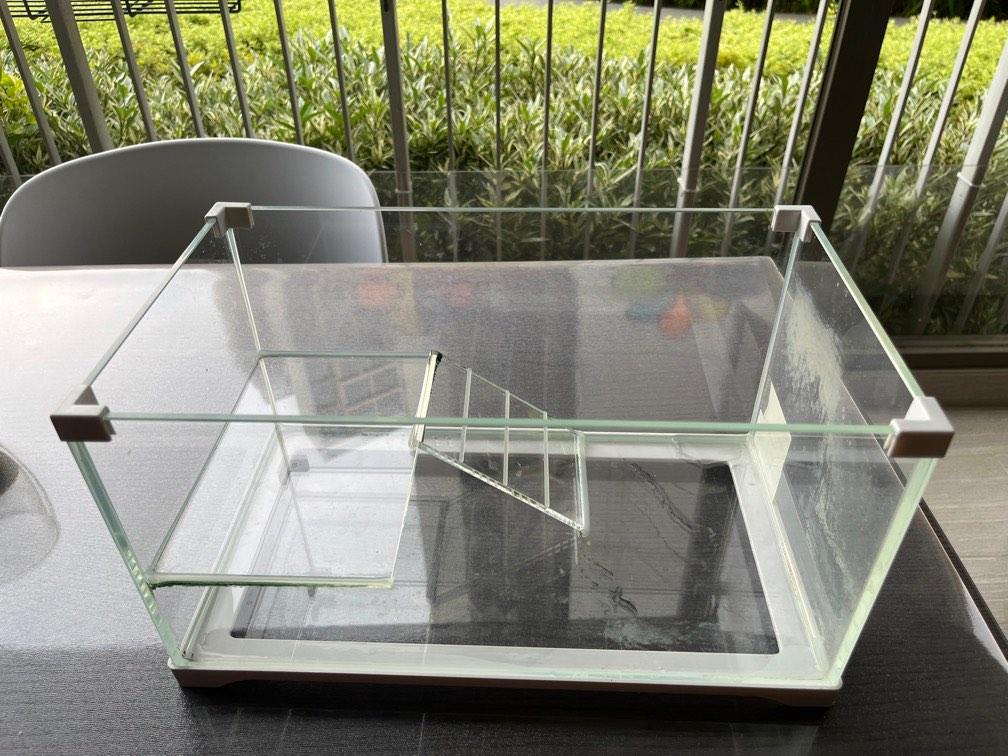 Terrapin tank, Pet Supplies, Homes & Other Pet Accessories on Carousell