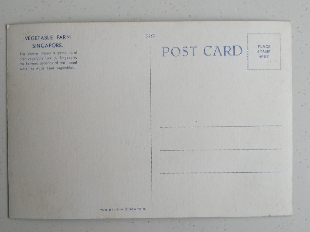 1960s Vegetable Farming in S'pore Kampong Postcard (Potong Pasir Region ...
