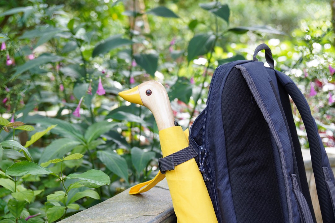 cute yellow duck umbrella uv and no uv, Women's Fashion, Watches ...