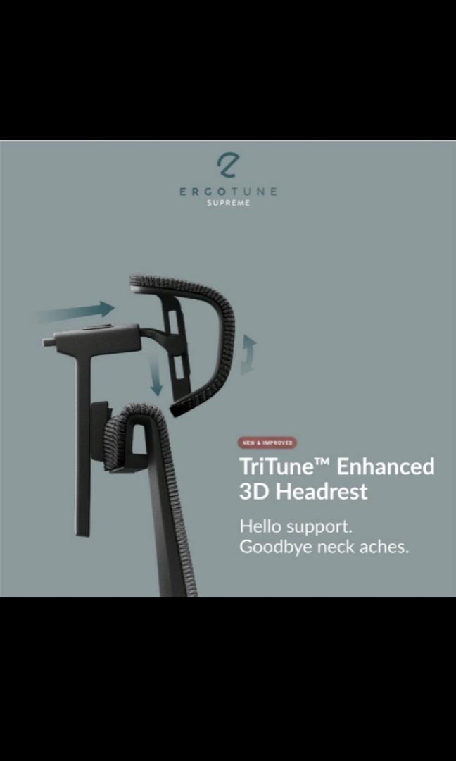 ErgoTune Supreme V3 / V2.1 Ergonomic Office Chair, Furniture & Home ...