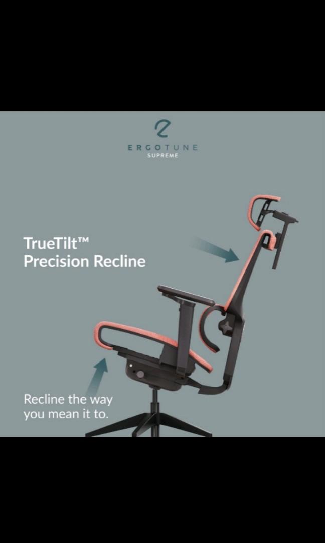 ErgoTune Supreme V3 / V2.1 Ergonomic Office Chair, Furniture & Home ...