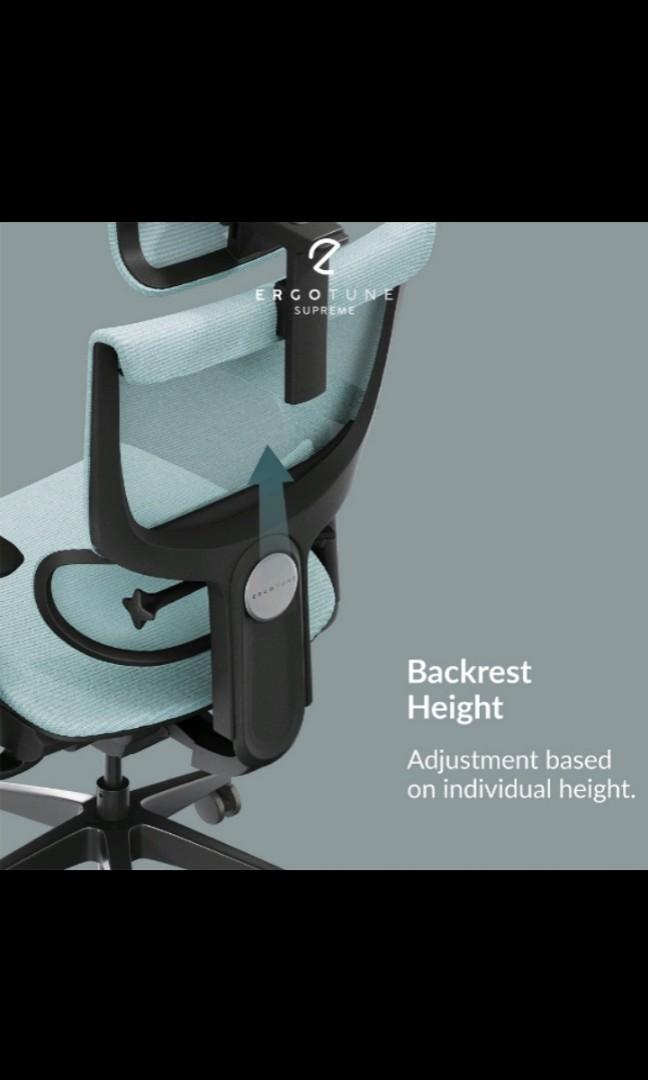 ErgoTune Supreme V3 / V2.1 Ergonomic Office Chair, Furniture & Home ...