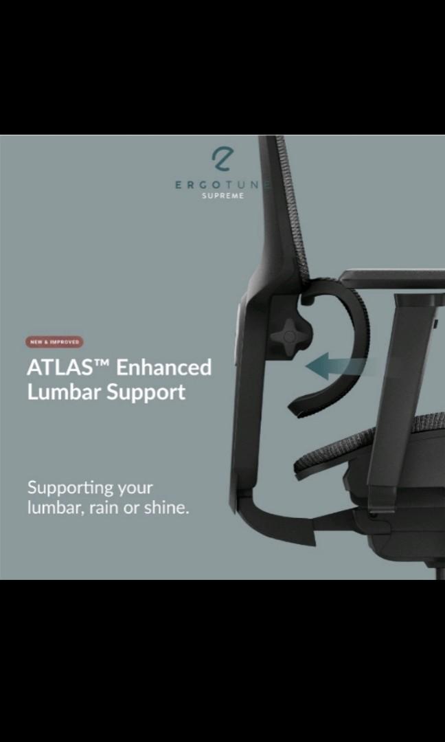 ErgoTune Supreme V3 / V2.1 Ergonomic Office Chair, Furniture & Home ...