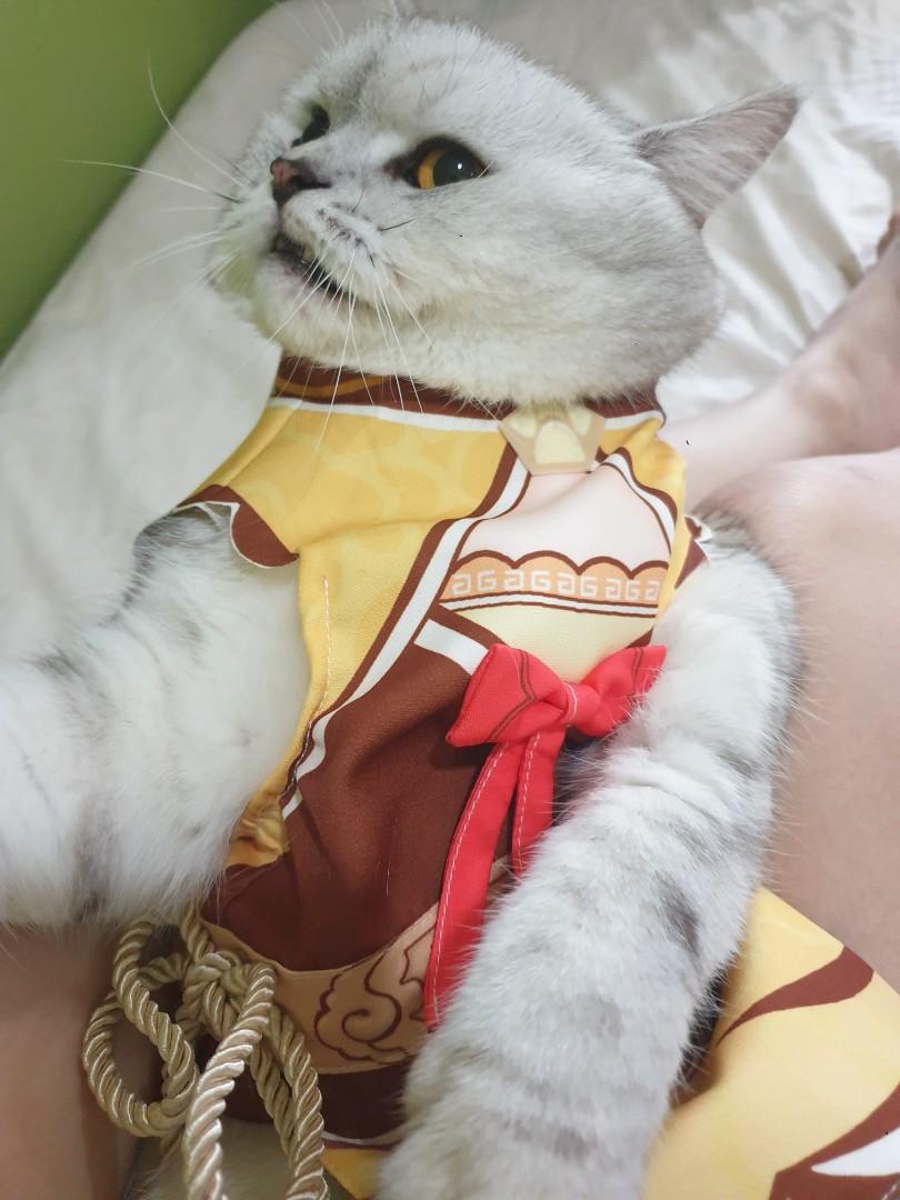 GENSHIN COSPLAY XIANG LING CAT, Pet Supplies, Homes & Other Pet ...