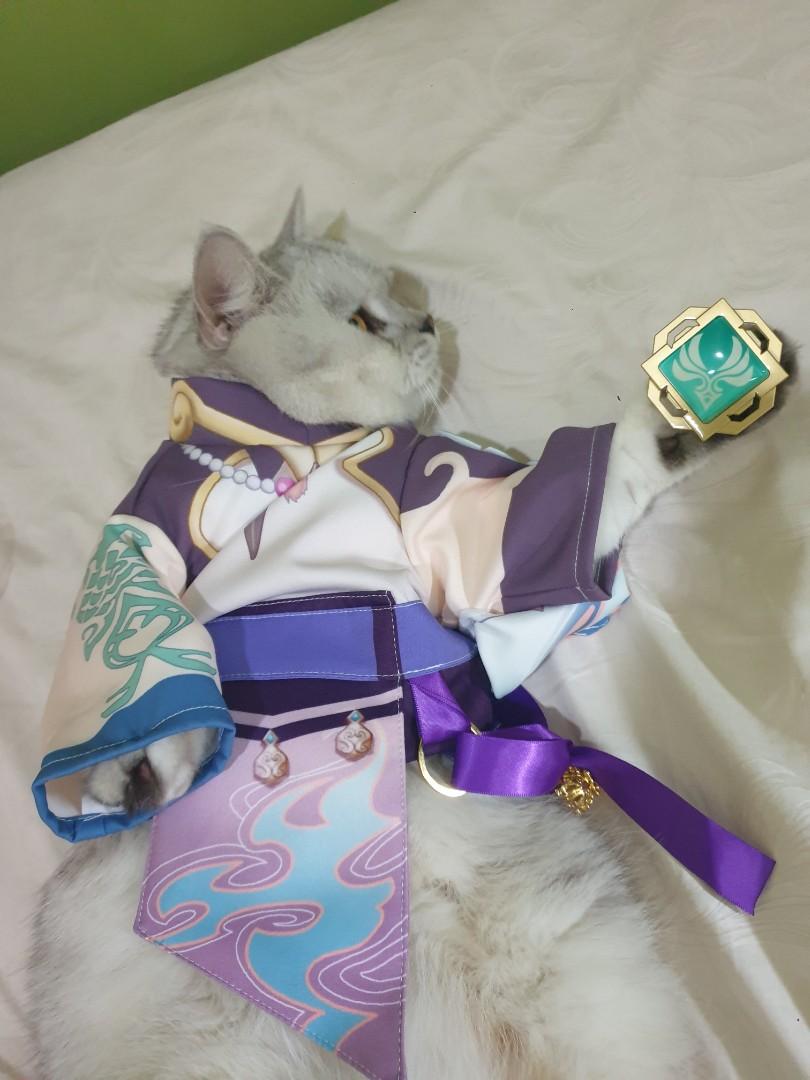 GENSHIN COSPLAY XIAO CAT, Pet Supplies, Homes & Other Pet Accessories ...