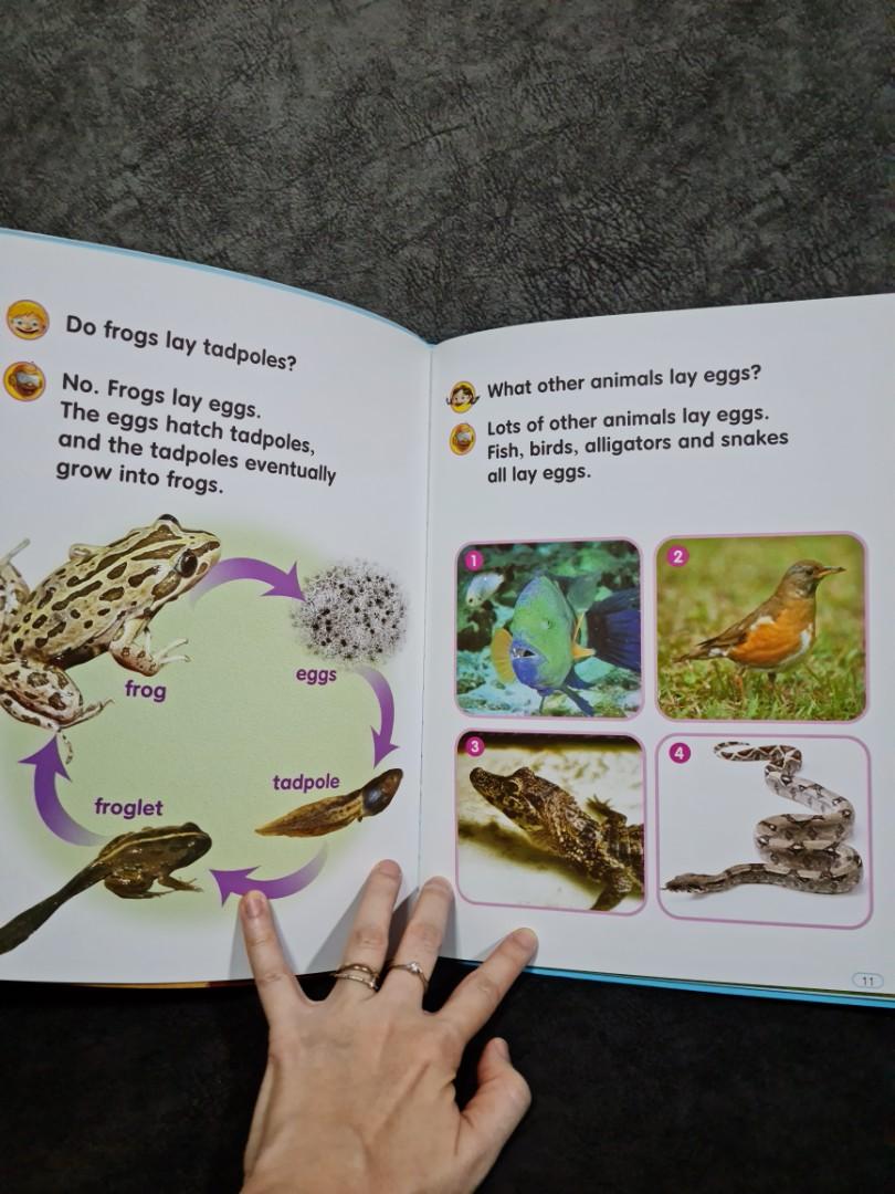 Grolier Talking English children's educational, phonics books with ...