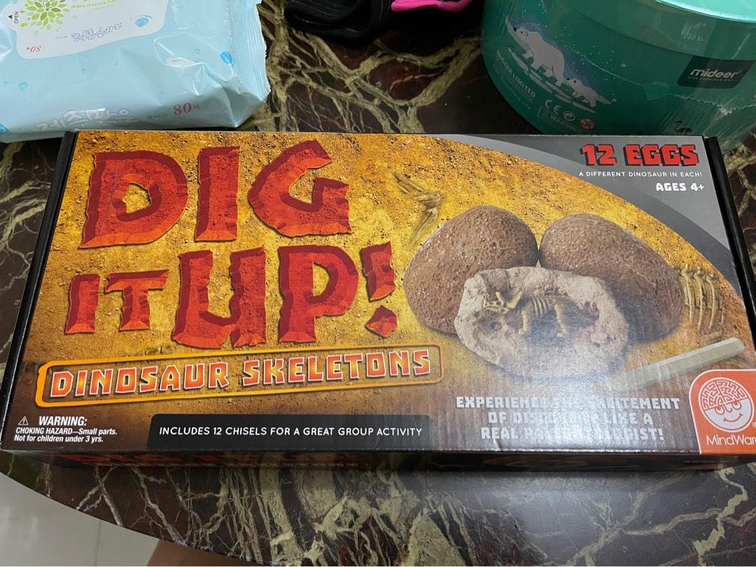 Mindware DIG IT UP Dinosaur Skeletons, Hobbies & Toys, Toys & Games on ...