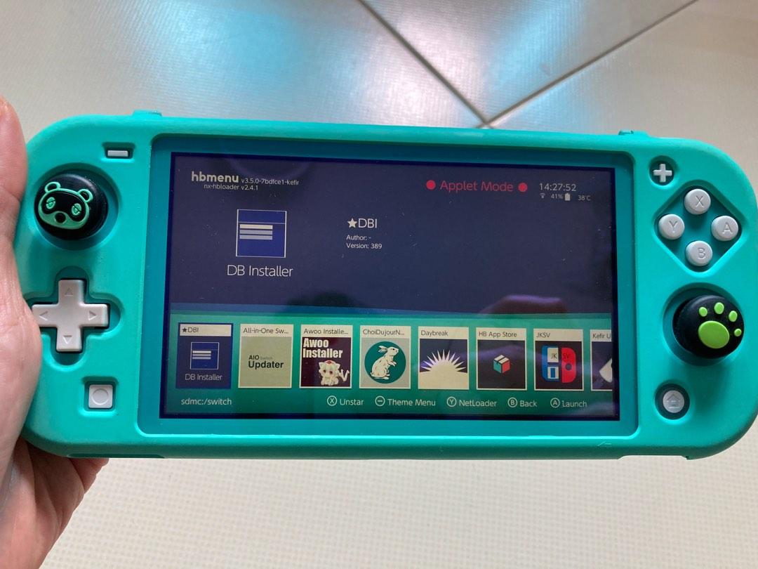 Modded Nintendo Switch Lite, Video Gaming, Video Game Consoles ...