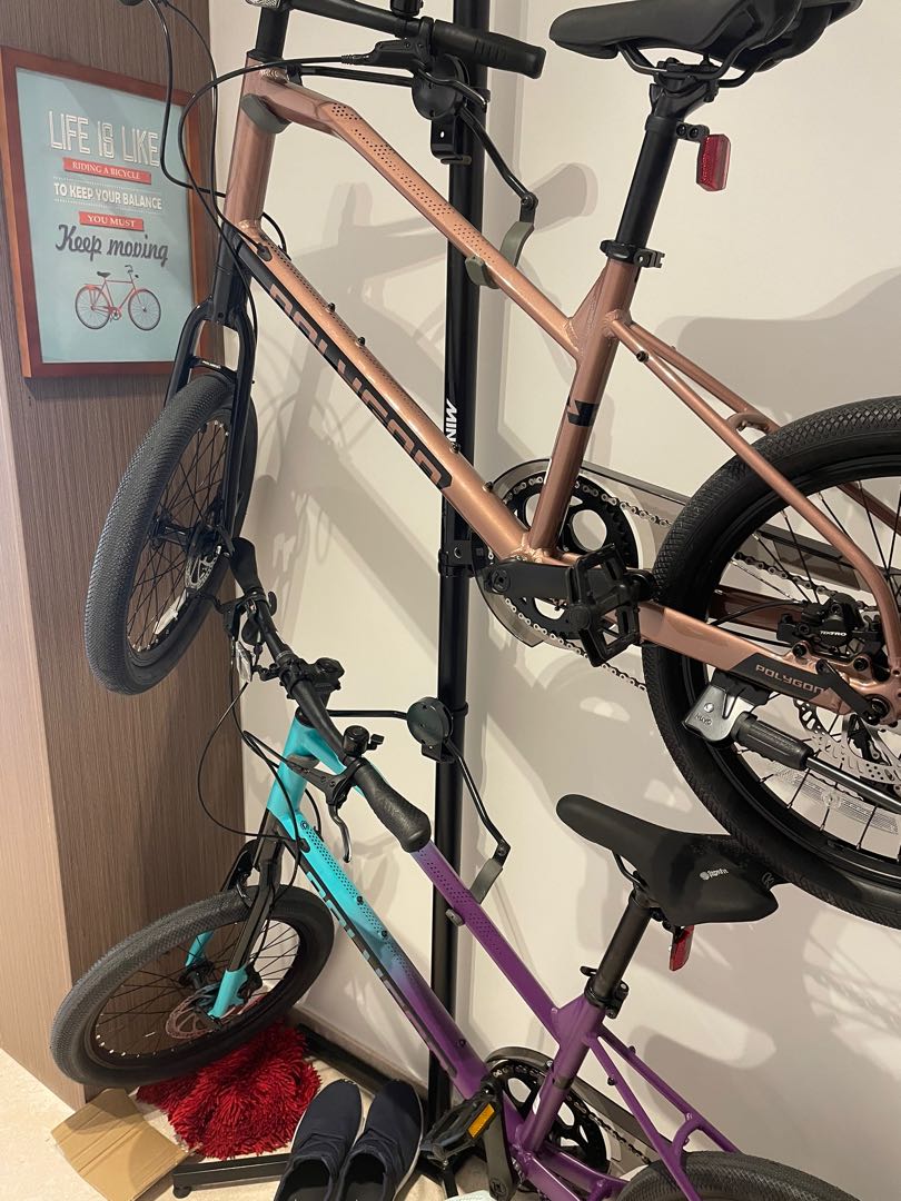 Polygon Mini Velo Zeta 2, Sports Equipment, Bicycles & Parts, Bicycles ...