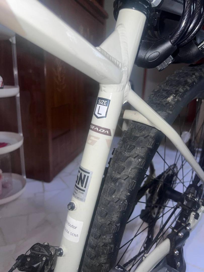 Polygon Xtrada 6 Mountain Bike 2020 Size L, Sports Equipment, Bicycles & Parts, Bicycles on ...