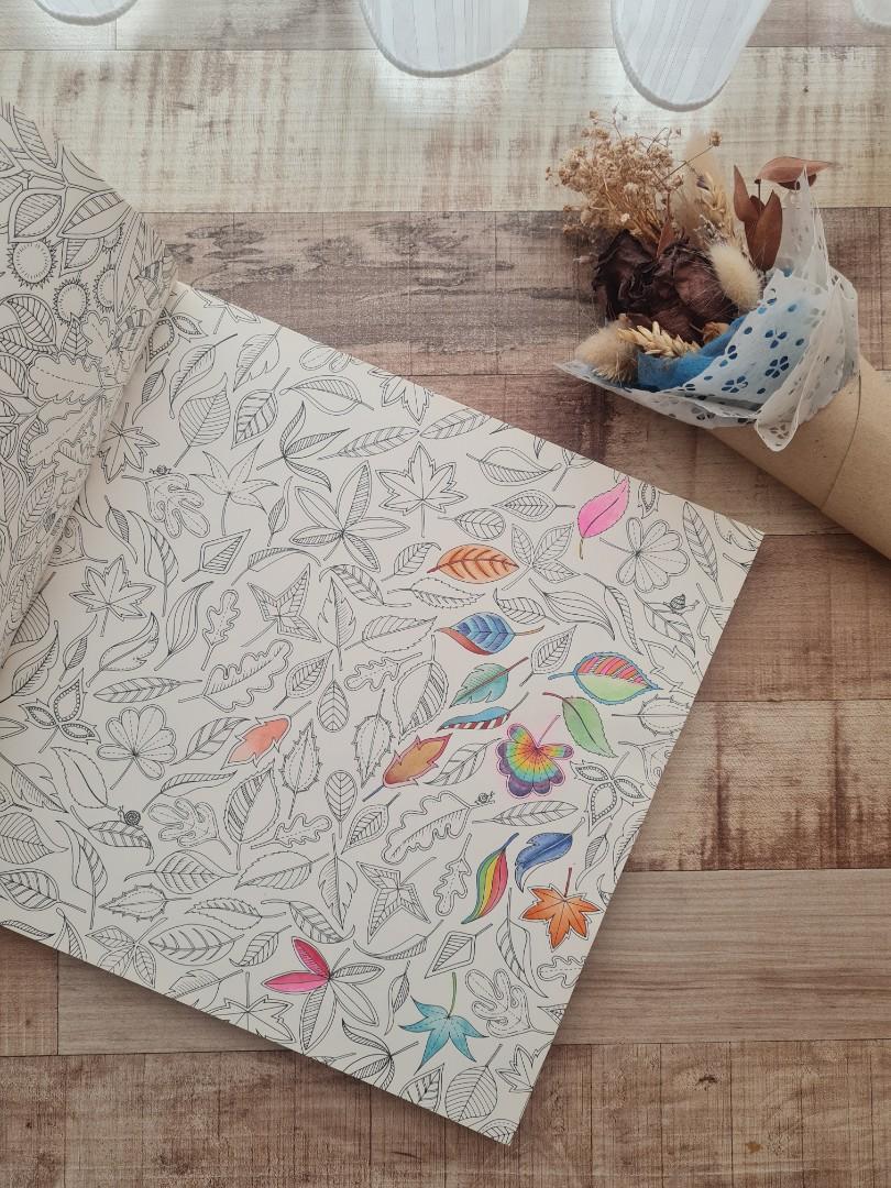 Secret Garden Drawing Book, Hobbies & Toys, Stationery & Craft, Art ...