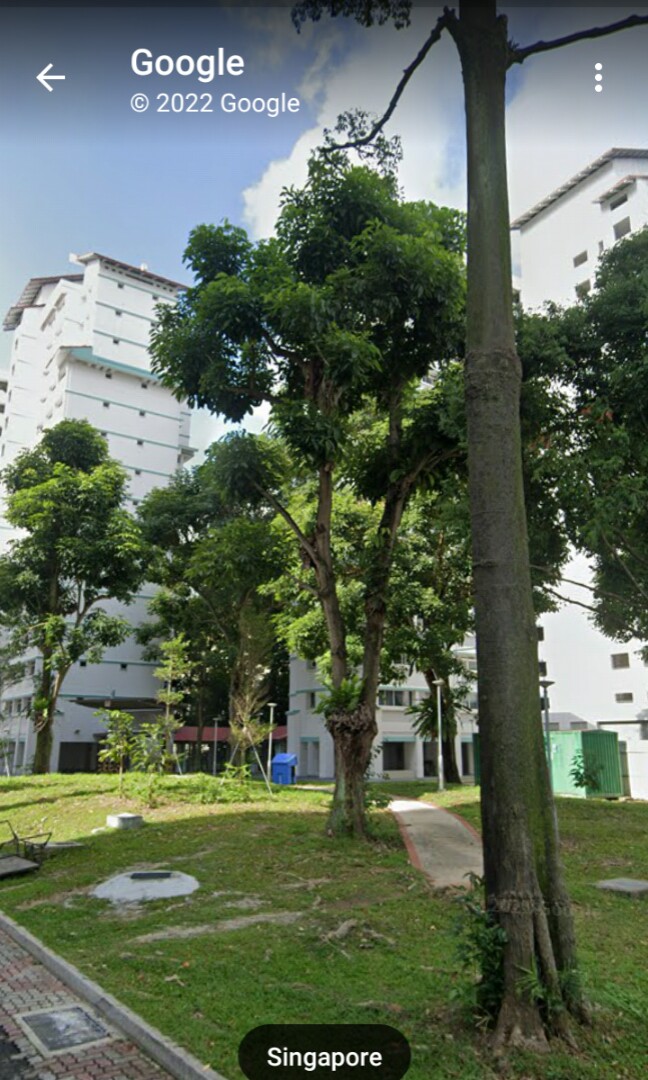 265 Boon Lay Drive Boon Lay Crest, Property, Rentals, HDB on Carousell
