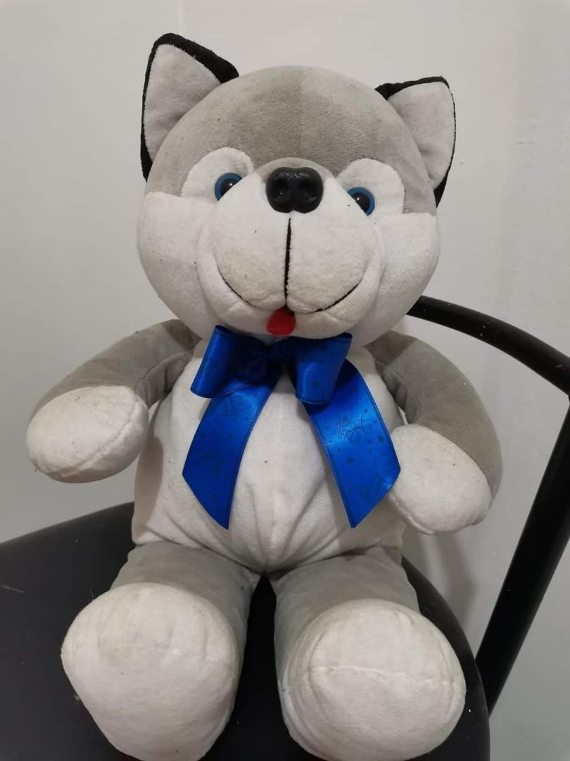 Blue Magic Husky plush, Hobbies & Toys, Toys & Games on Carousell