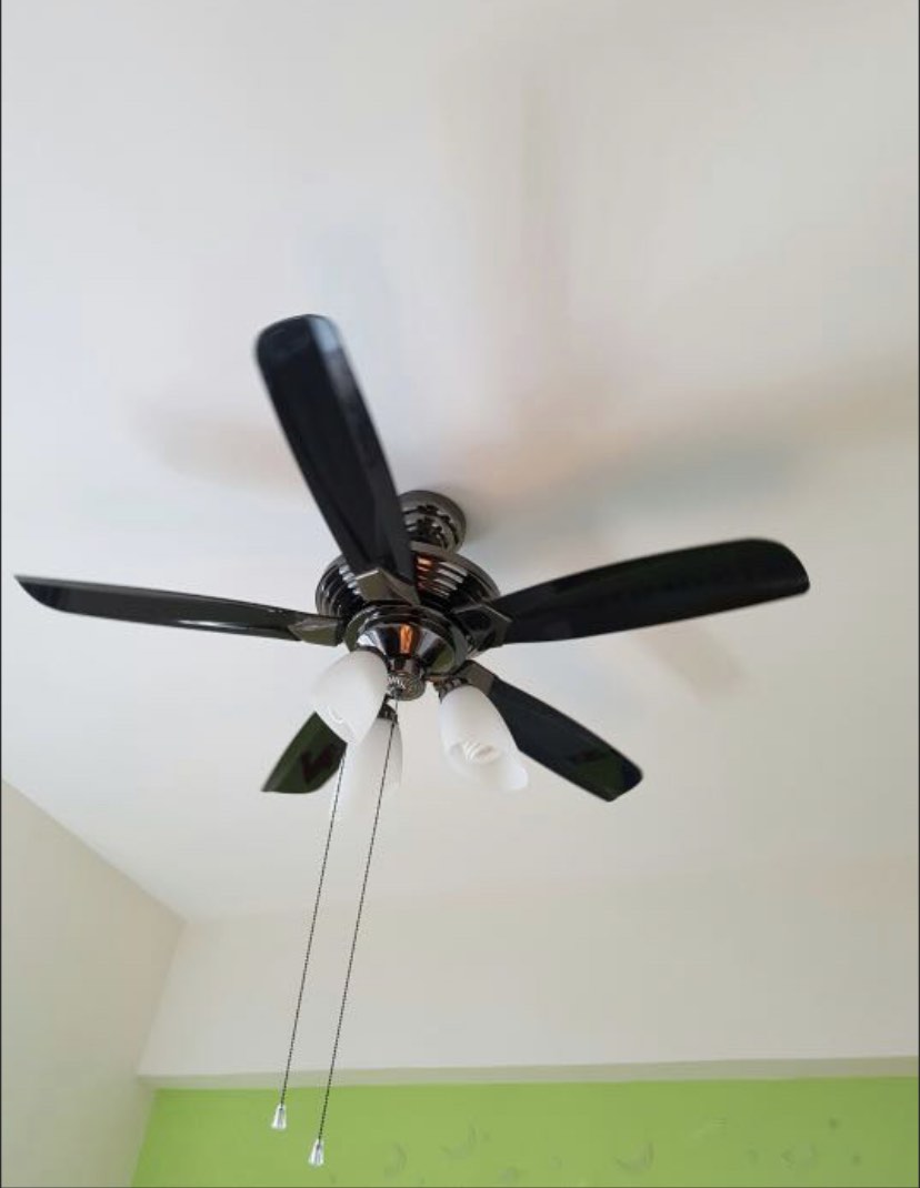 Ceiling fan repair and service, Home Services, Home Repairs ...