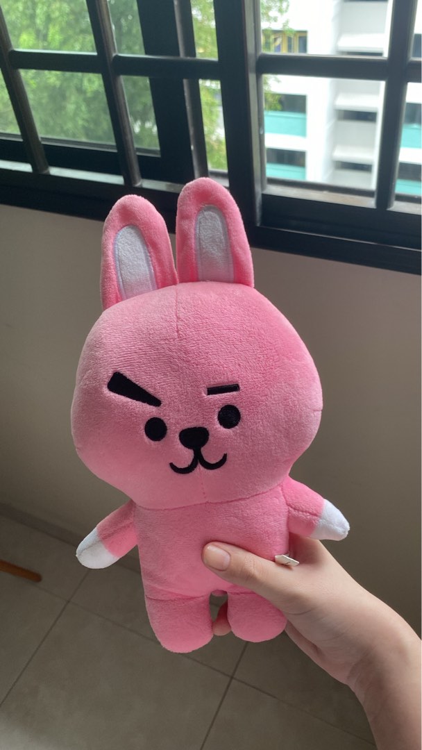 Cooky soft toy, Hobbies & Toys, Toys & Games on Carousell