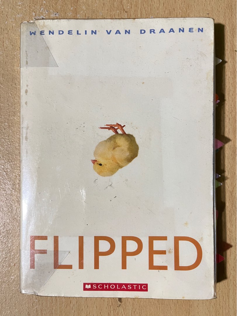 FLIPPED BY WENDELIN VAN DRAANEN, Hobbies & Toys, Books & Magazines ...