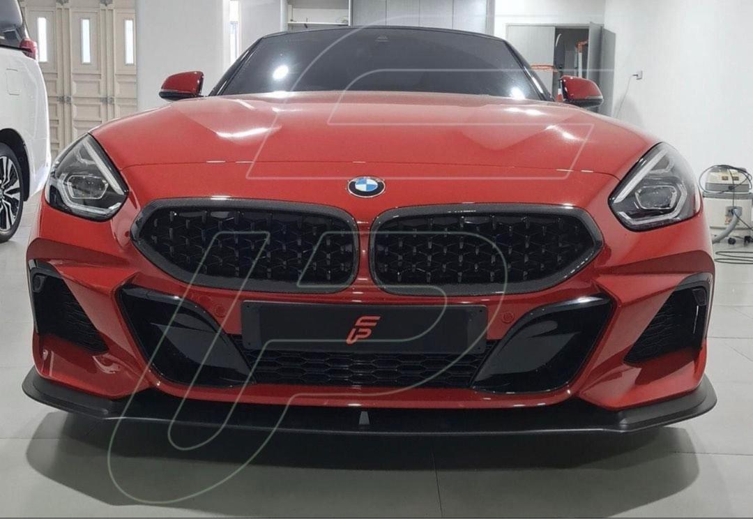 Frameless License Plate Holder, Car Accessories, Car Plates on Carousell