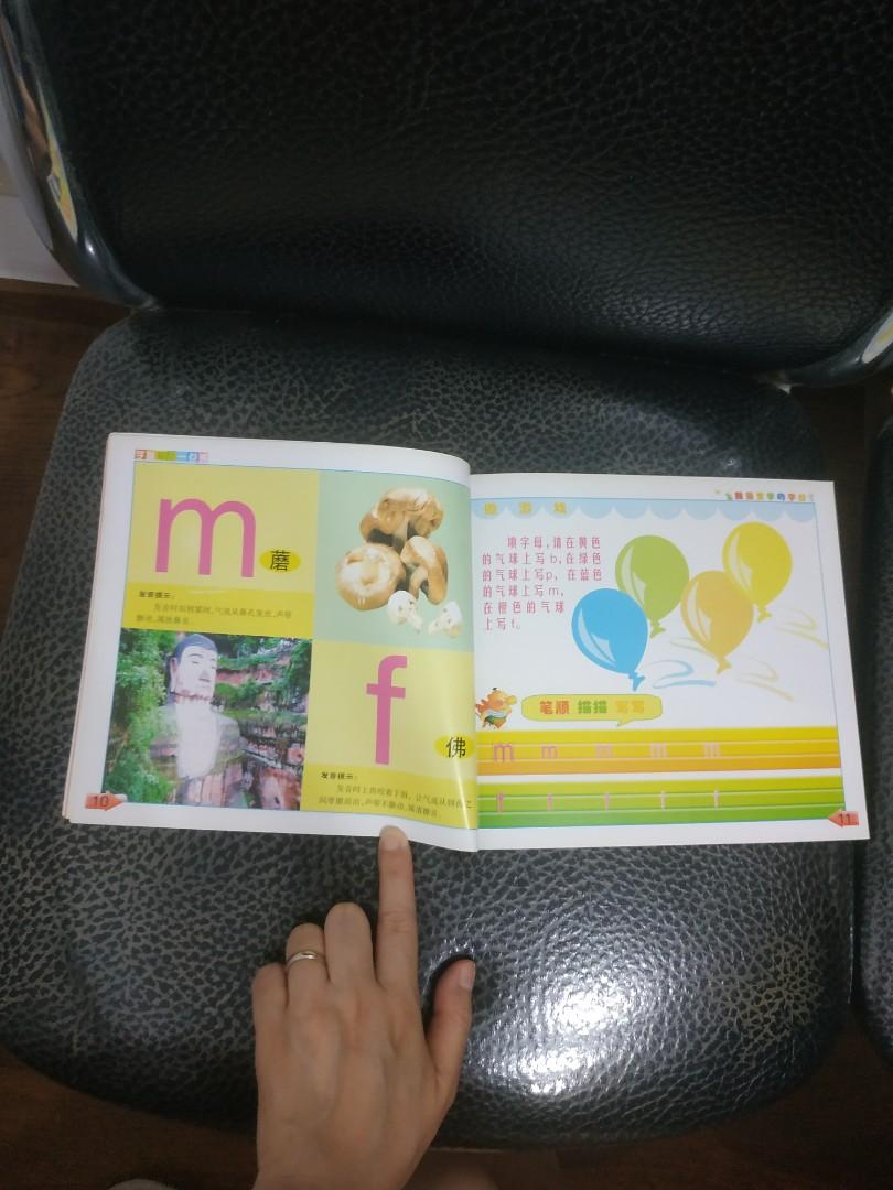 Free: Chinese Hanyu Pinyin book, Hobbies & Toys, Books & Magazines ...