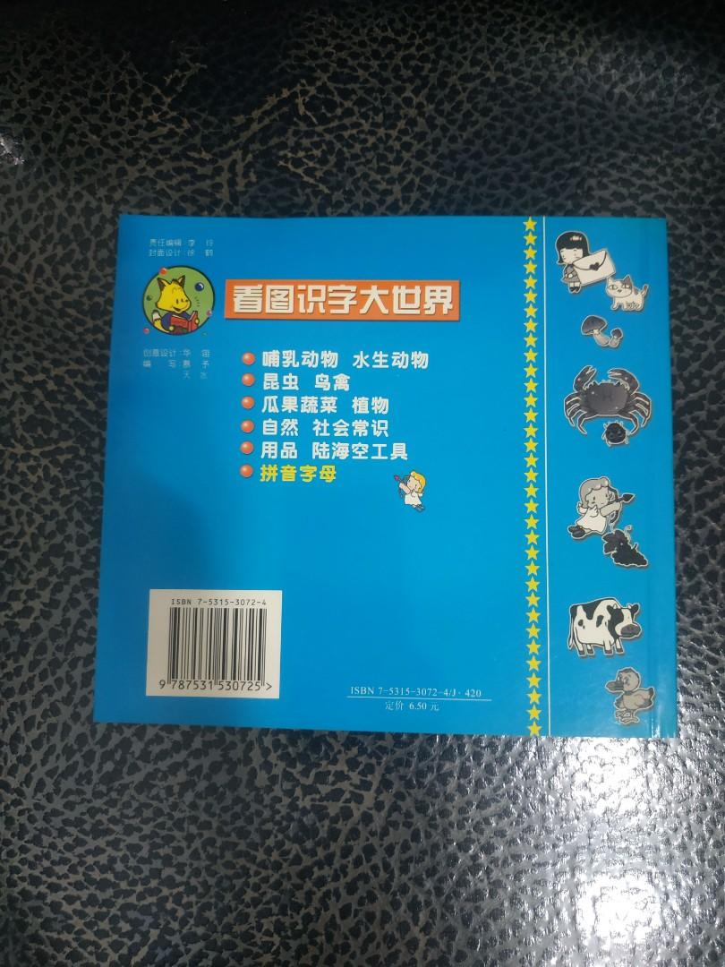 Free: Chinese Hanyu Pinyin book, Hobbies & Toys, Books & Magazines ...