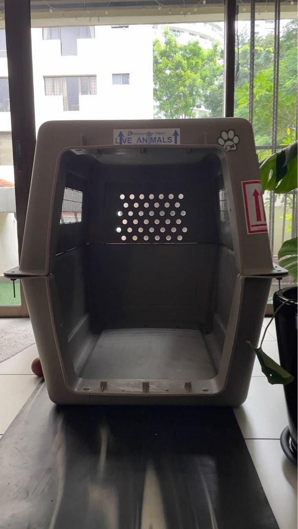 Giant Petmate vari kennel (90cm height, can be increased), Pet Supplies ...