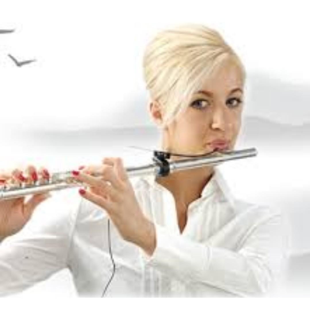 JTS- Condenser Mic for Flute (CX-500F), Hobbies & Toys, Music & Media ...