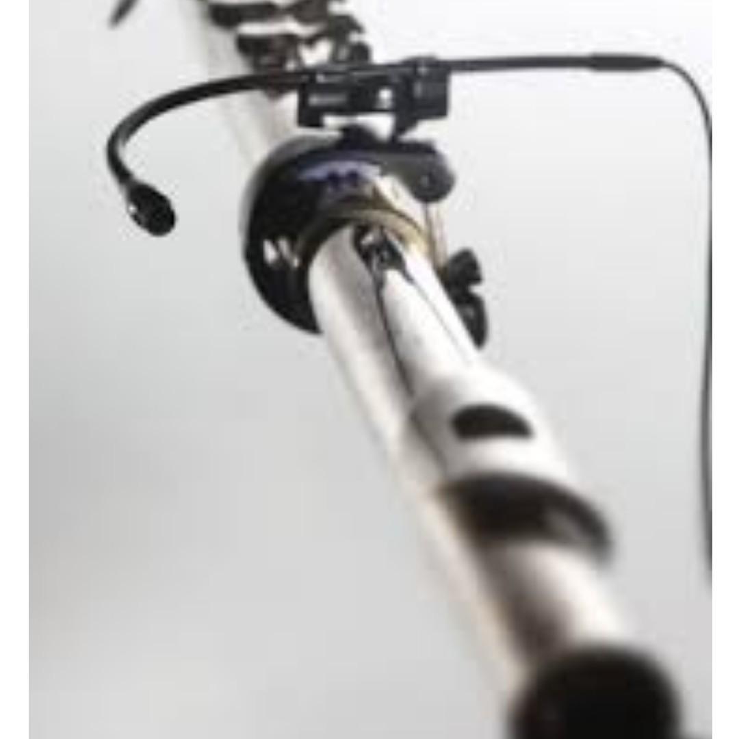 JTS- Condenser Mic for Flute (CX-500F), Hobbies & Toys, Music & Media ...