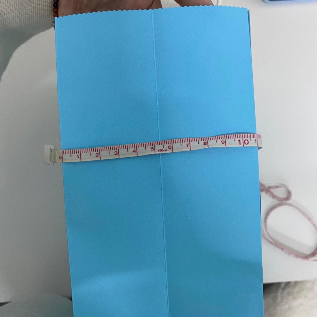 Light blue paper bag gift bag, Hobbies & Toys, Stationery & Craft ...