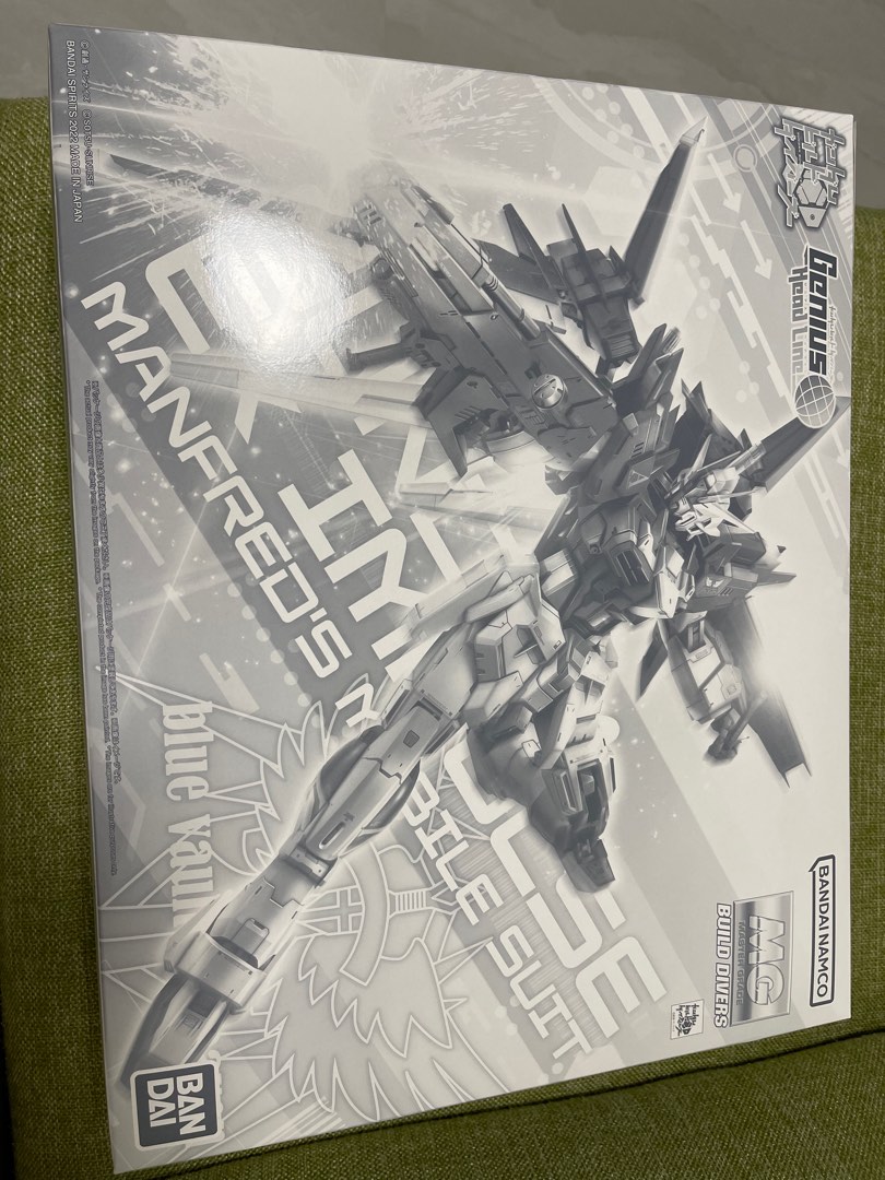 MG 1/100 GUNDAM Ex IMPULSE 脈衝高達, 興趣及遊戲, 玩具 & 遊戲類 - Carousell