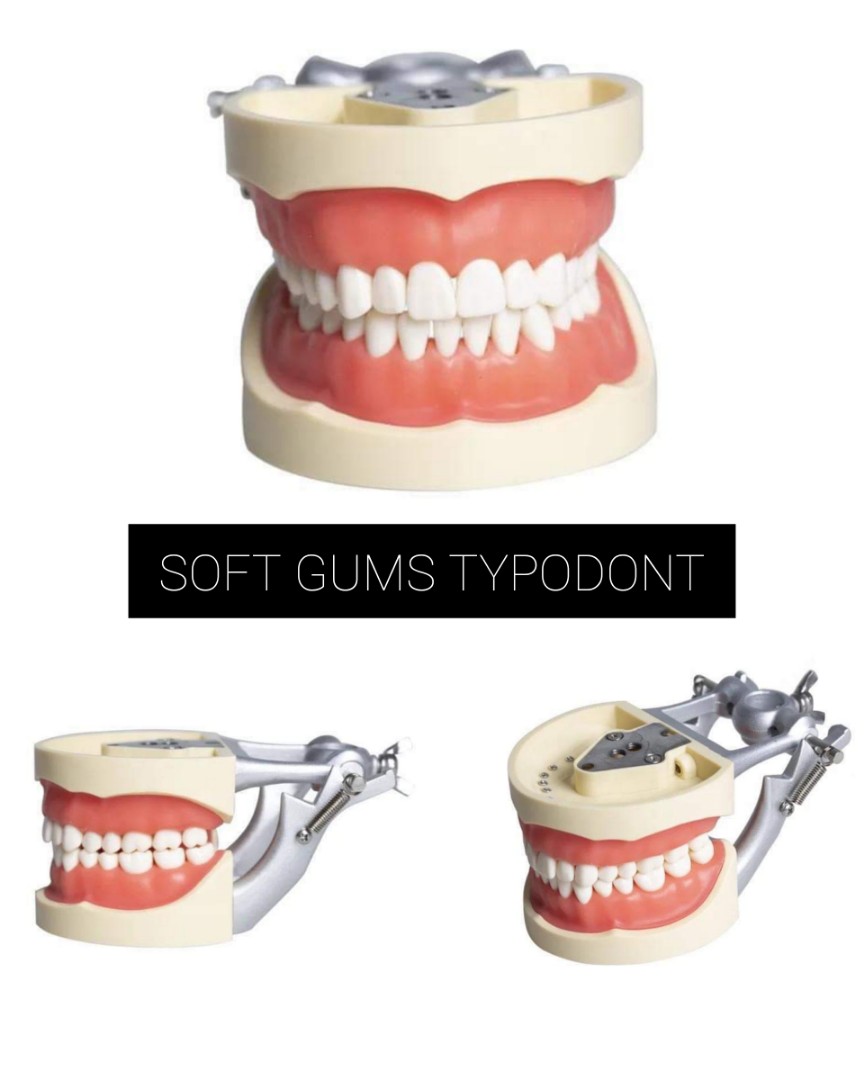 SOFT GUMS TYPODONT, Health & Nutrition, Medical Supplies & Tools on ...