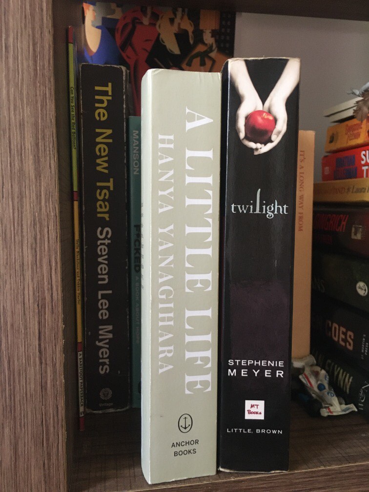 BOOK BUNDLE | A LITTLE LIFE BY HANYA YANAGIHARA AND TWILIGHT BY ...