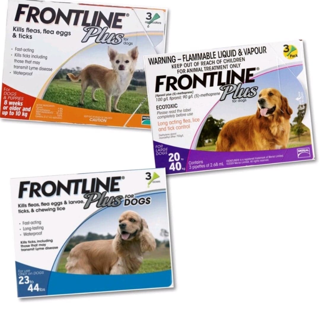 Frontline Plus Dogs 3's, Pet Supplies, Health & Grooming on Carousell