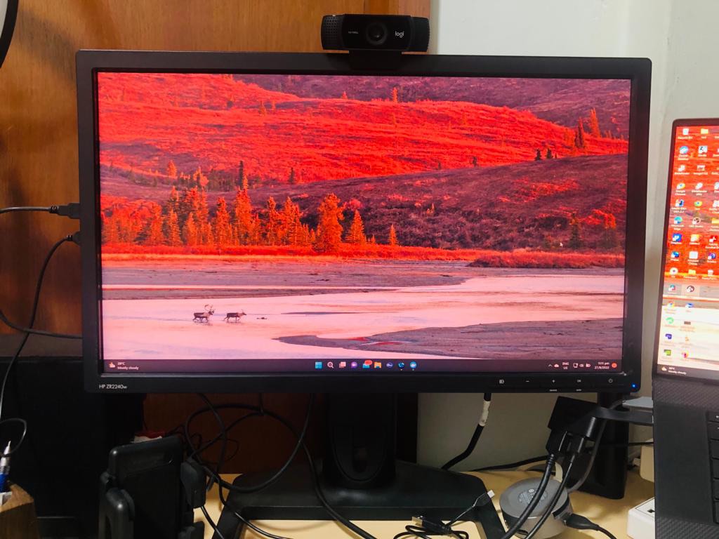 HP 22 inch Monitor - MOVE OUT SALE, Computers & Tech, Parts ...
