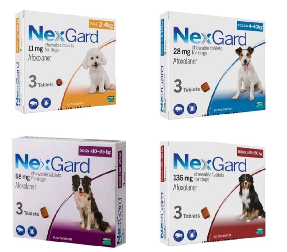 Nexgard Chewable Tablets 3 tabs /6 tabs, Pet Supplies, Health ...