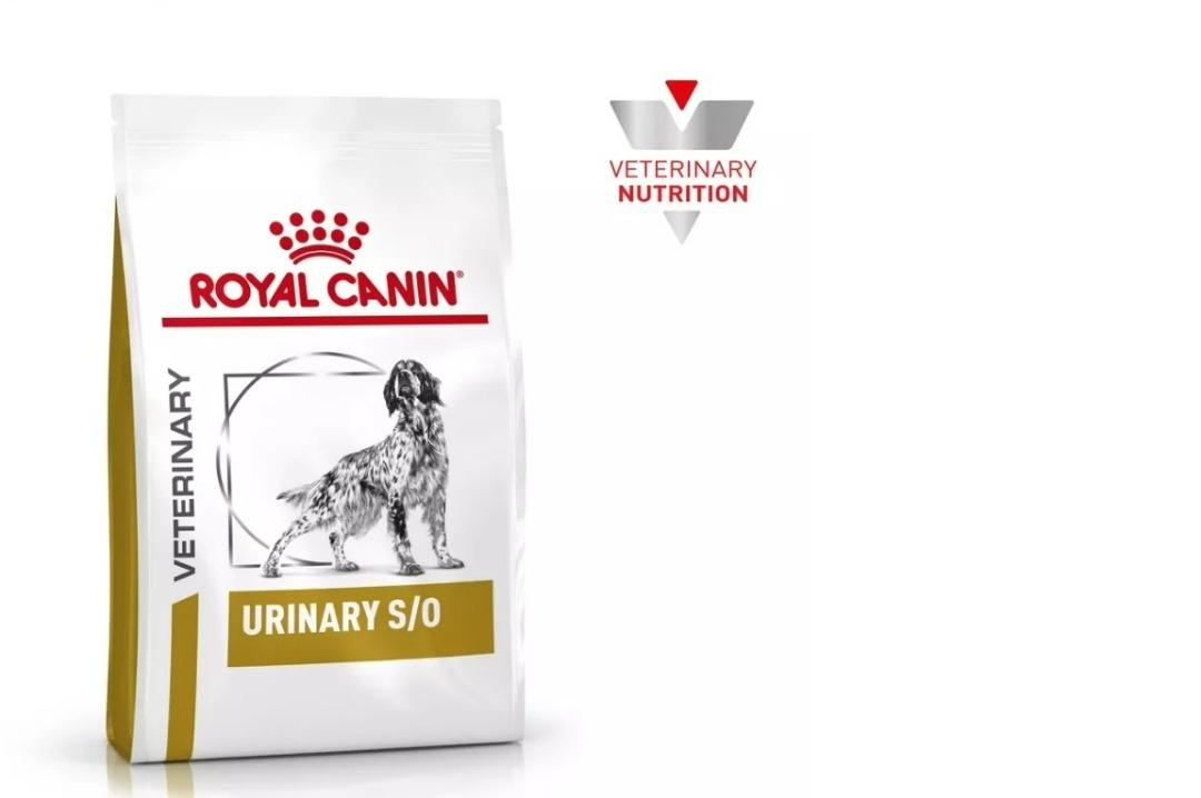 Royal Canin Urinary S/O for Dog 2kg and 7.5kg, Pet Supplies, Pet Food ...